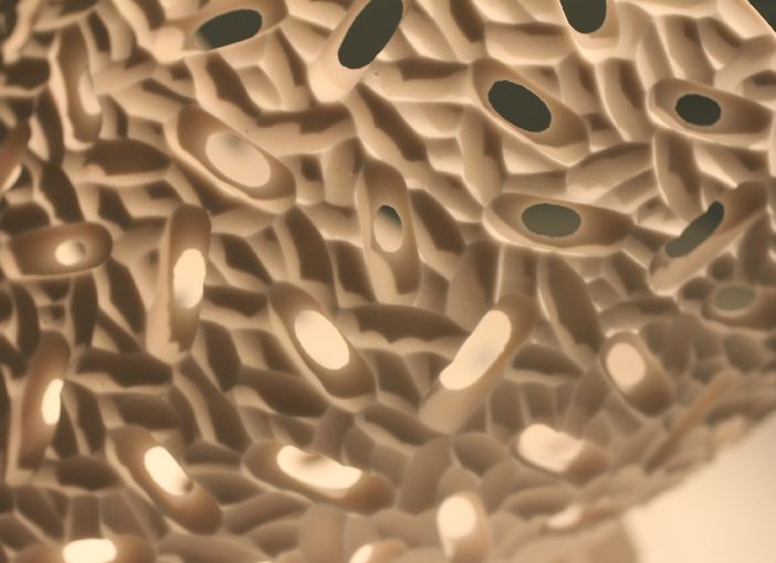 June Morrison - Glass Artist